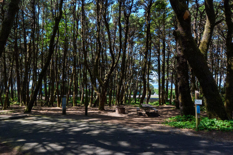 Our 8 favorite campsites on the central and southern Oregon coast