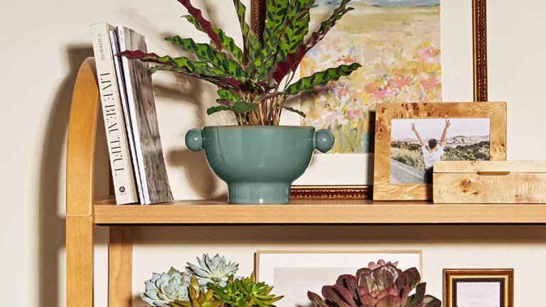 Drew Barrymore's 'charming' ceramic planters are under $12 at Walmart ...
