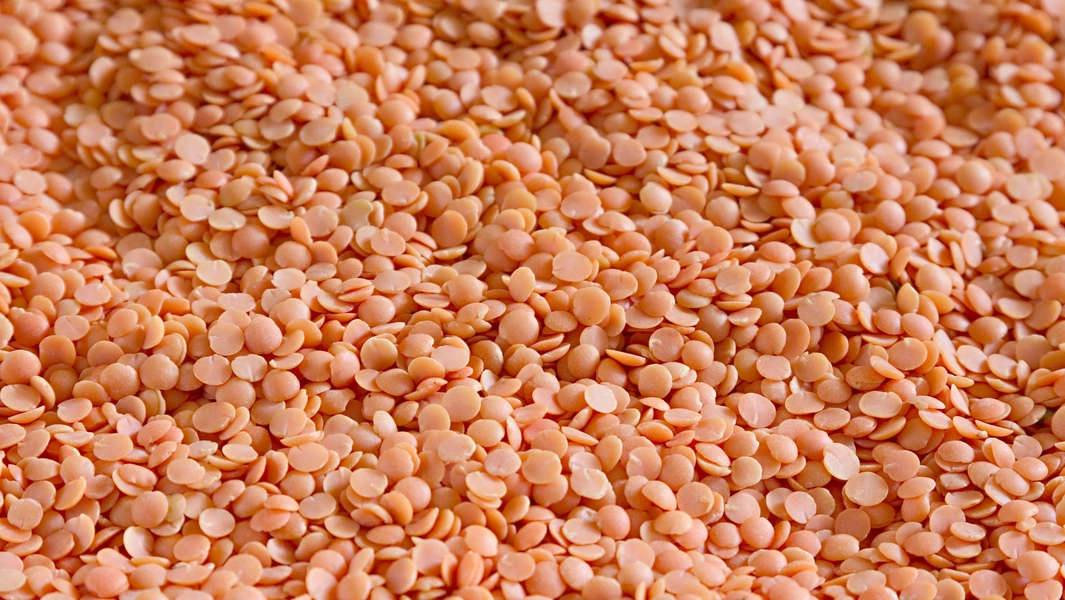 Lentils are the ultimate everyday superfood