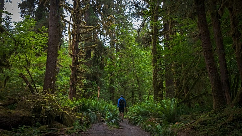 These underrated natural wonders are the world’s best-kept secrets