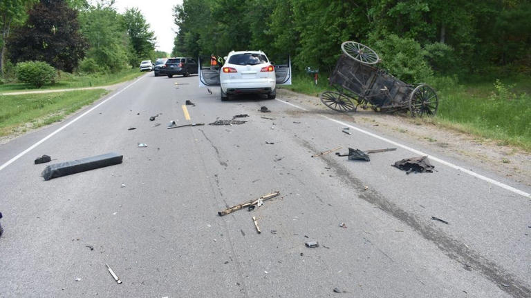 Horse dies, child injured in Amish buggy crash in Beaverton Township