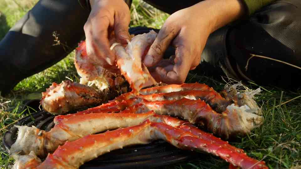 King crab like nothing before: Cooked over an open fire, tossed in ...
