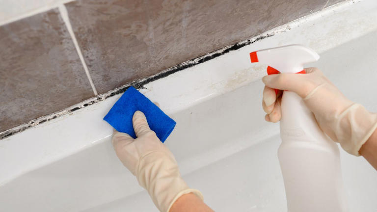 Forget bleach — this one kitchen item will remove mold on silicone sealant