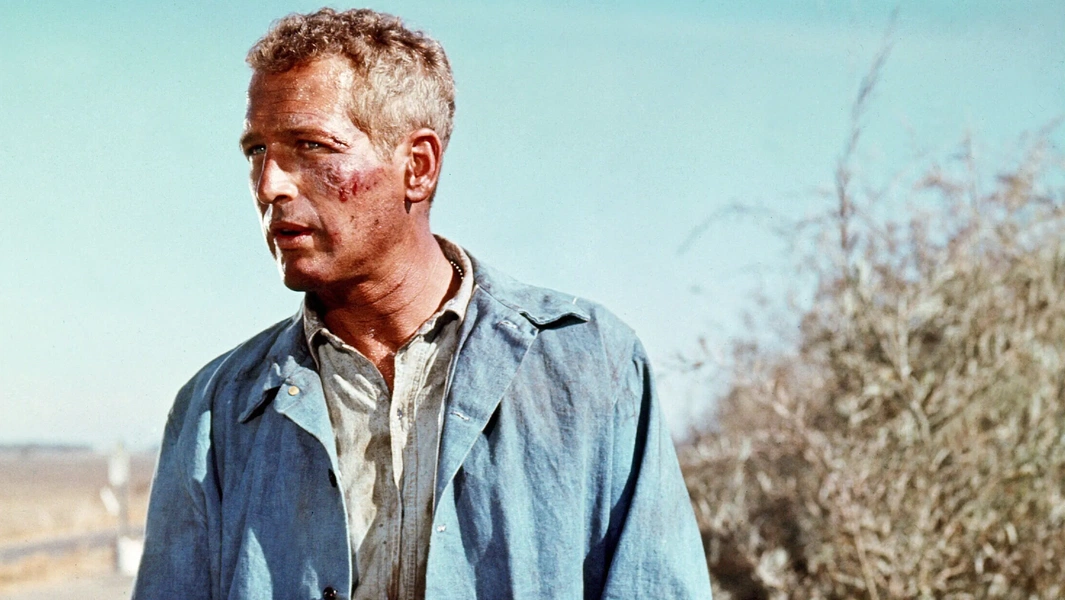 The making and legacy of Cool Hand Luke