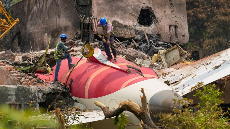 Air India 171 crash: Pilots' body challenges suicide theory, flags ...