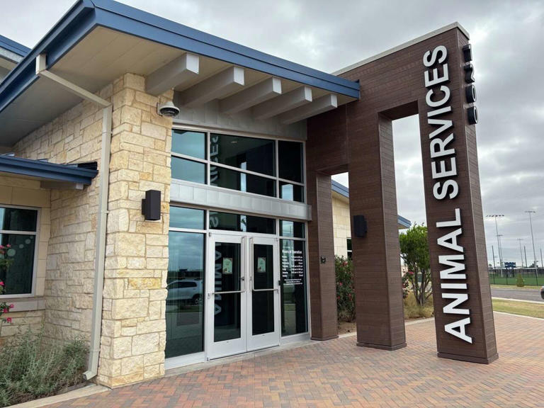 Midland Animal Services receives $150,000 spay and neuter grant