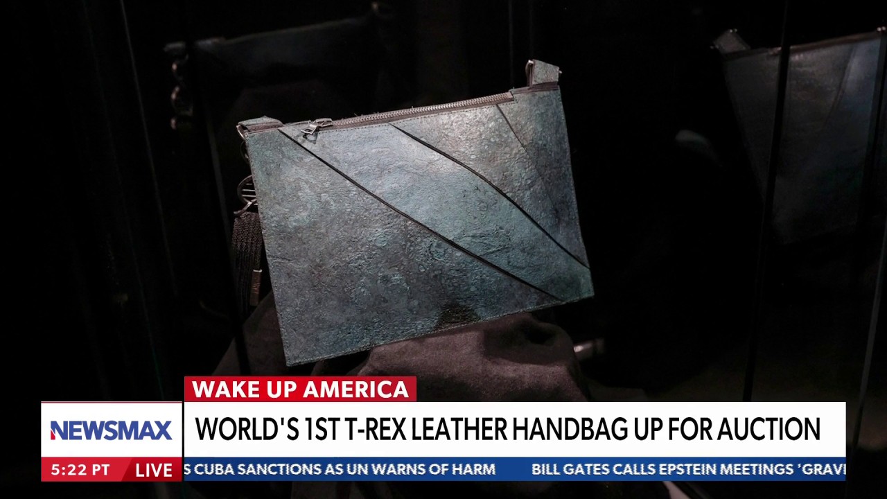 First ever lab grown T-Rex leather handbag unveiled