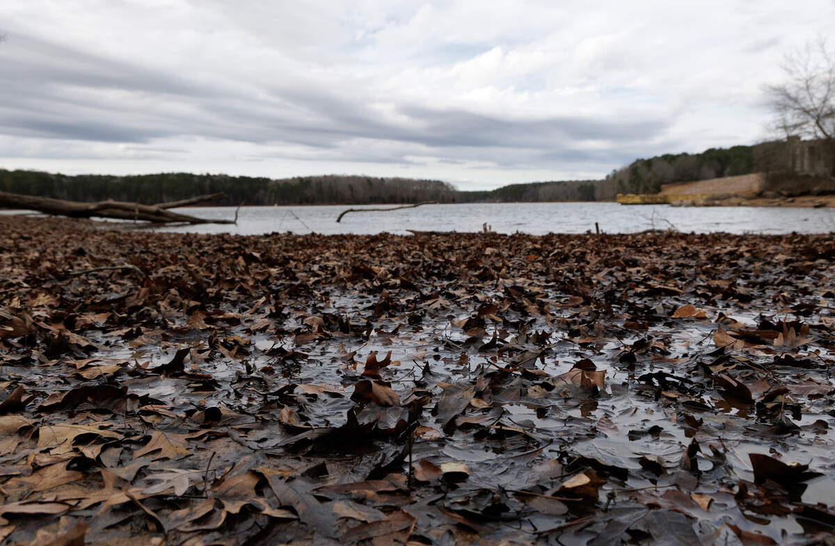 Raleigh steps up water restriction enforcement as lake level falls