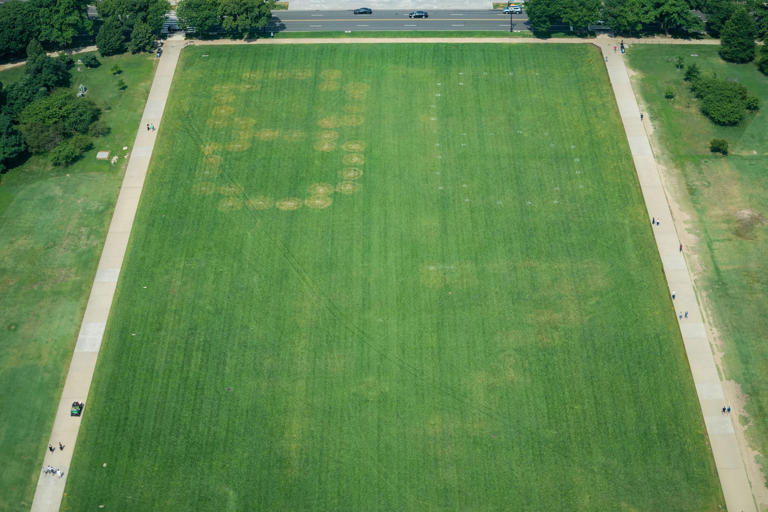 Markings appear to show "86 47" on National Mall