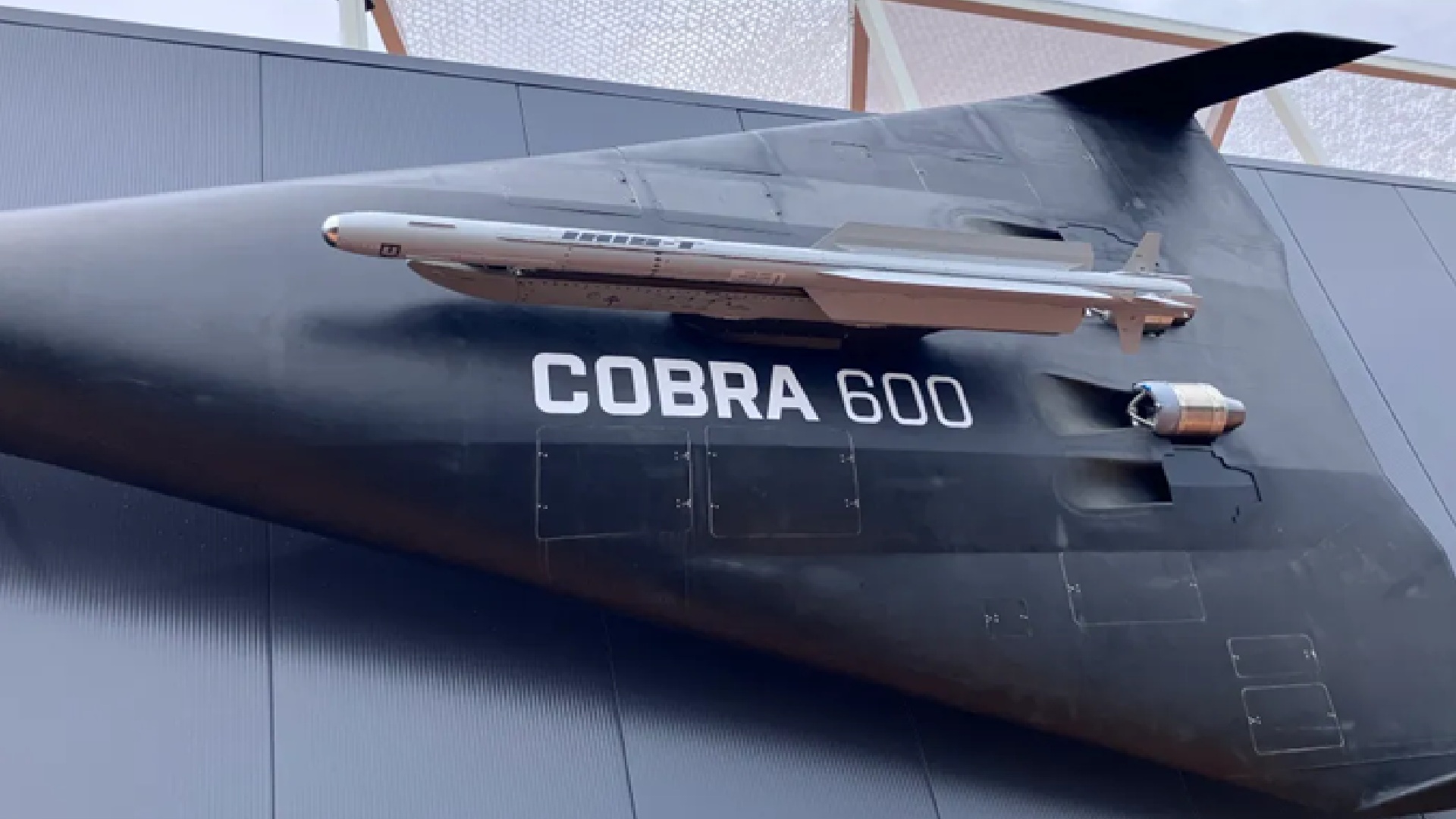 Cobra 600: Germany’s 620mph jet drone interceptor with IRIS-T and 155 ...