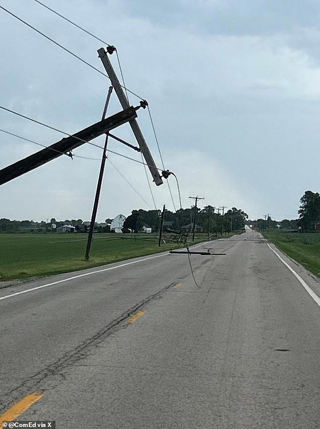Van filled with children driving from Chicago hospital crushed by tree ...