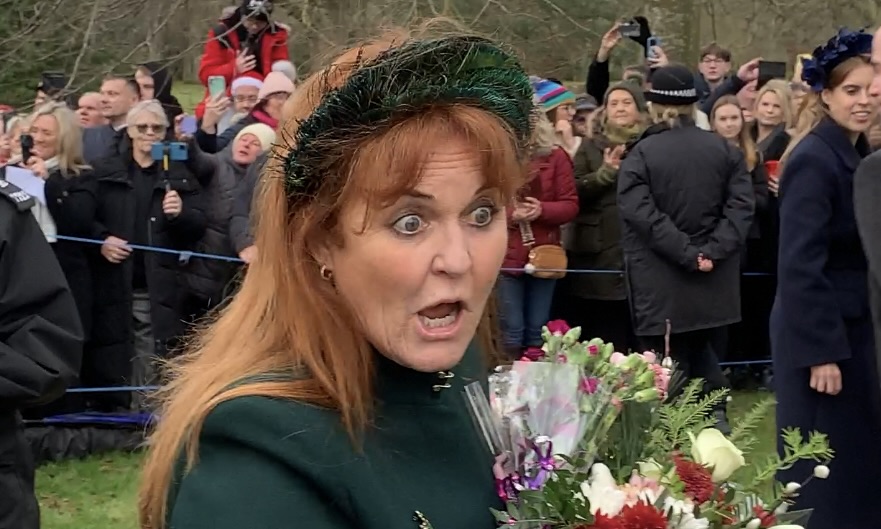 'My special friend': Sarah Ferguson's Jeffrey Epstein link resurfaces ...