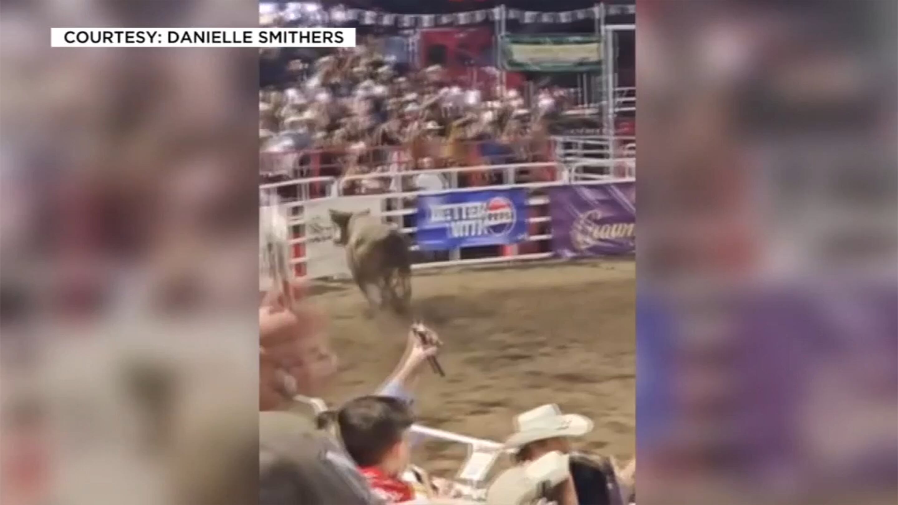 Woman files $9 million lawsuit over Sisters Rodeo bull escape