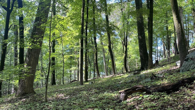 One scenic loop trail may be the most magical hike in New Jersey