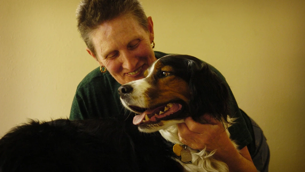 Vets warn poor dental care can shorten dogs’ lives