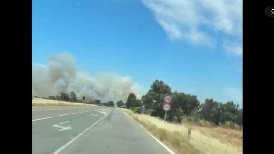 Spento l’incendio sulla 387, al via gli accertamenti della Forestale