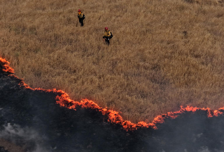 Why setting forest fires on purpose prevents extreme blazes