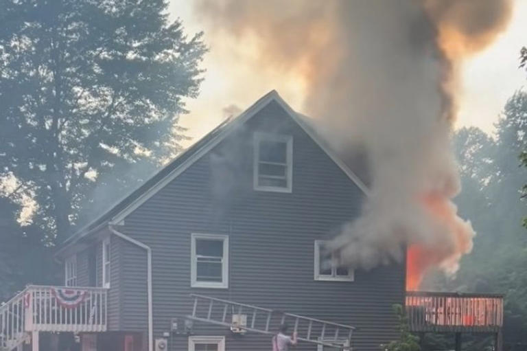 Dog accused of starting house fire that killed family pets, destroyed ...