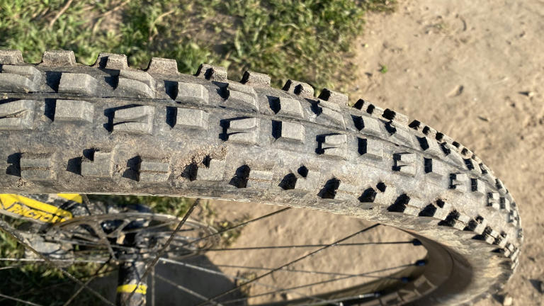 Maxxis Minion DHF review: Superbly surefooted all-rounder