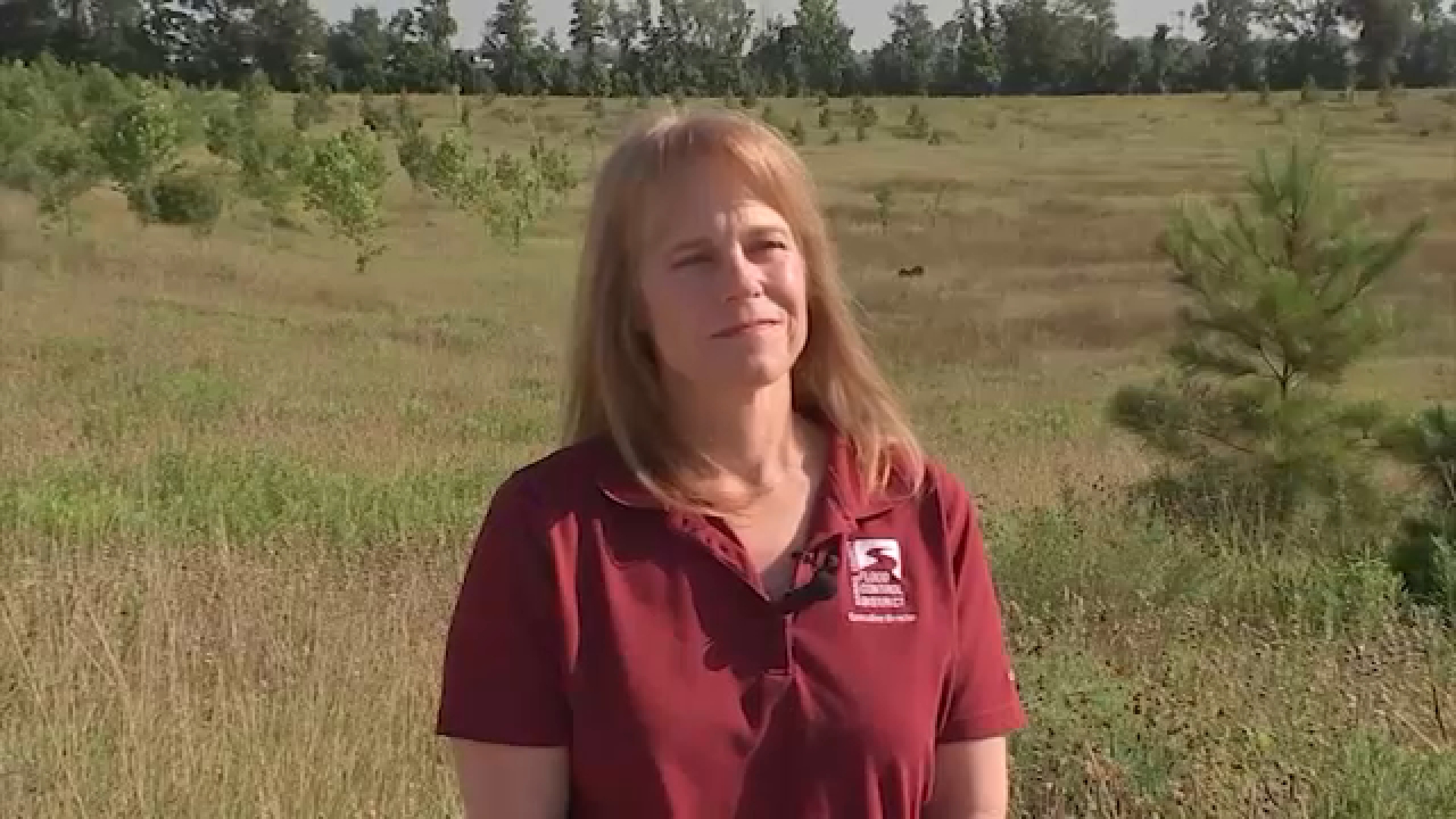 Director of Harris County Flood Control resigns from position following ...