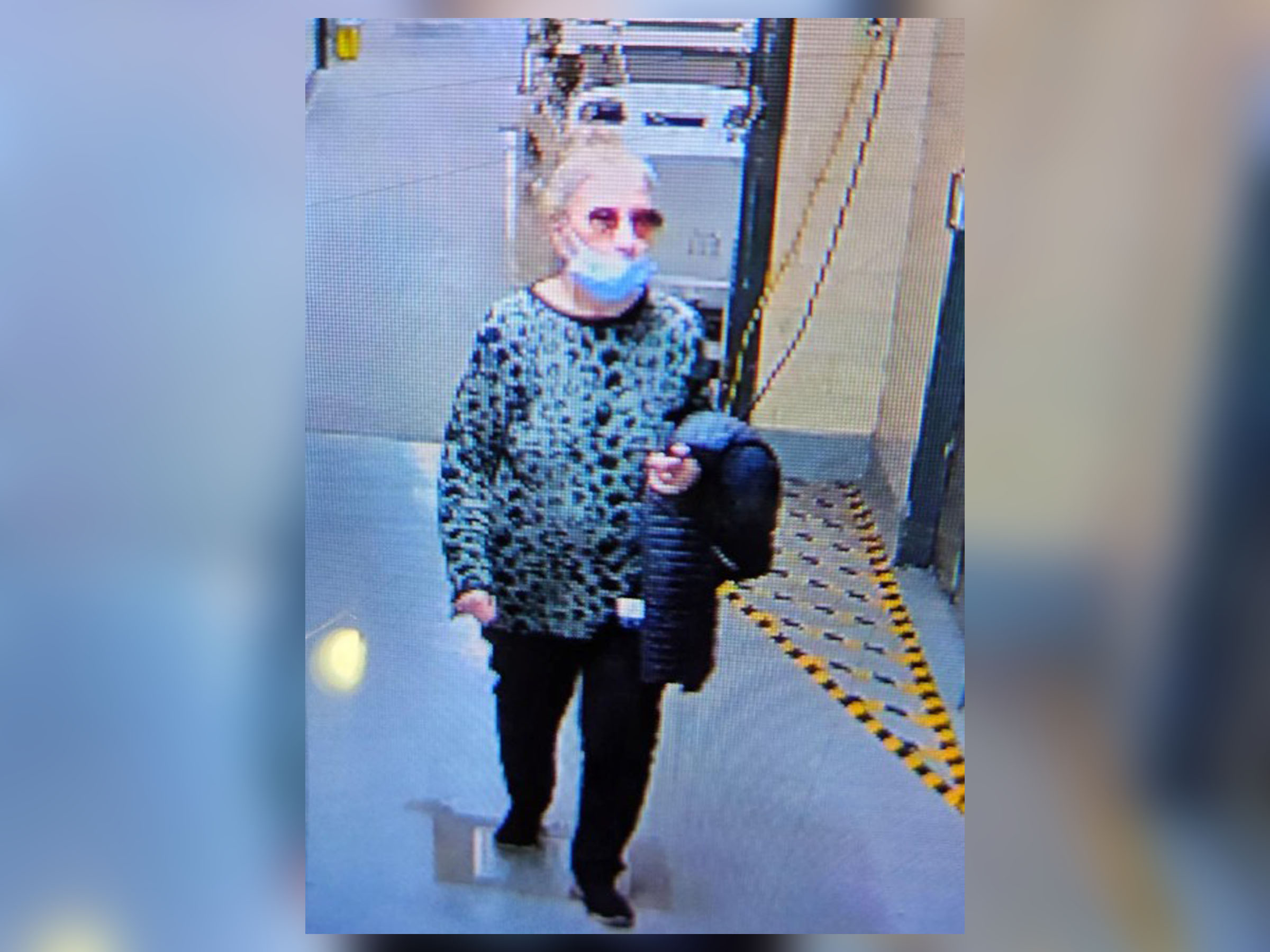 Search intensifies for missing woman as Montreal police set up new ...