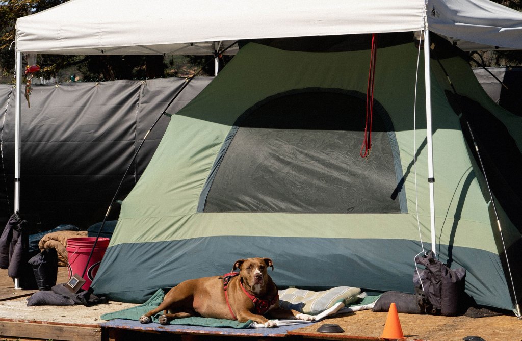 Contra Costa sees homeless population rise by 7% in annual count ...
