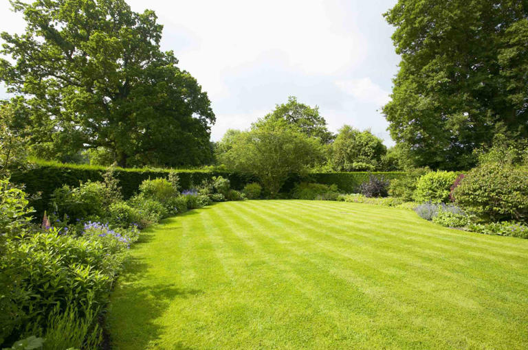 The best grass types for southern lawns, from full sun to deep shade