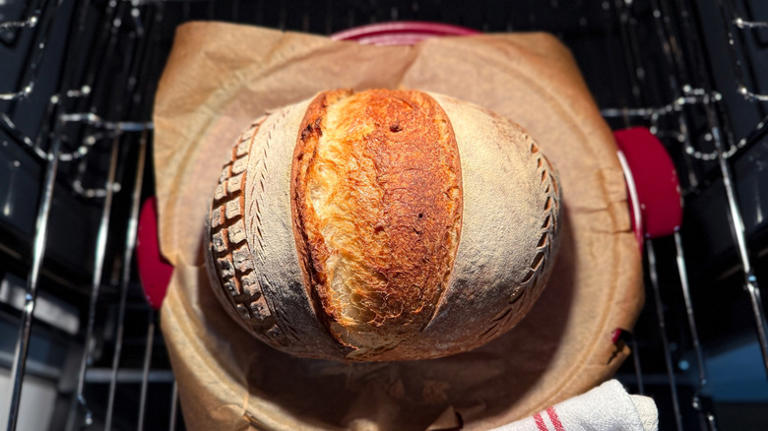 The best oven temperature for fresh-baked sourdough bread every time