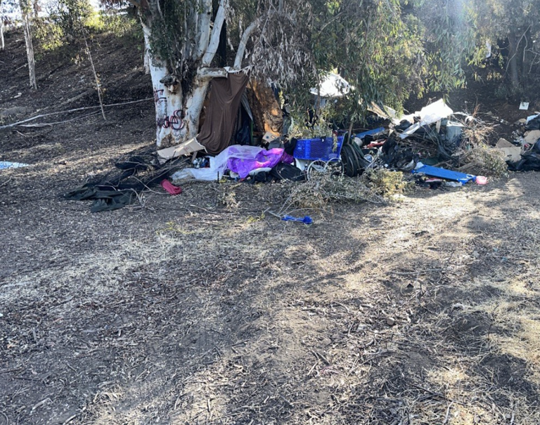 Chula Vista freeway encampment cleared; tons of debris removed