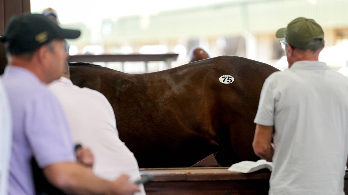 OwnerView webinar covers tools, programs for attending auctions