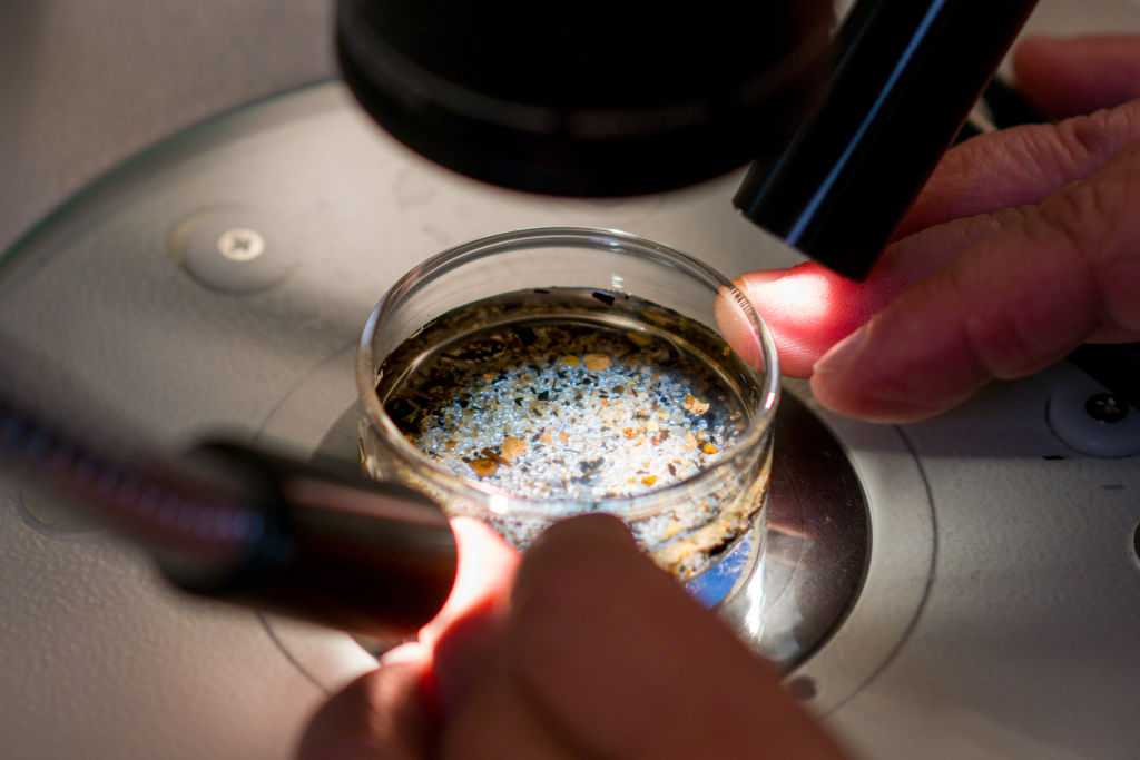 UC researchers get grant looking into how microplastics impact the body