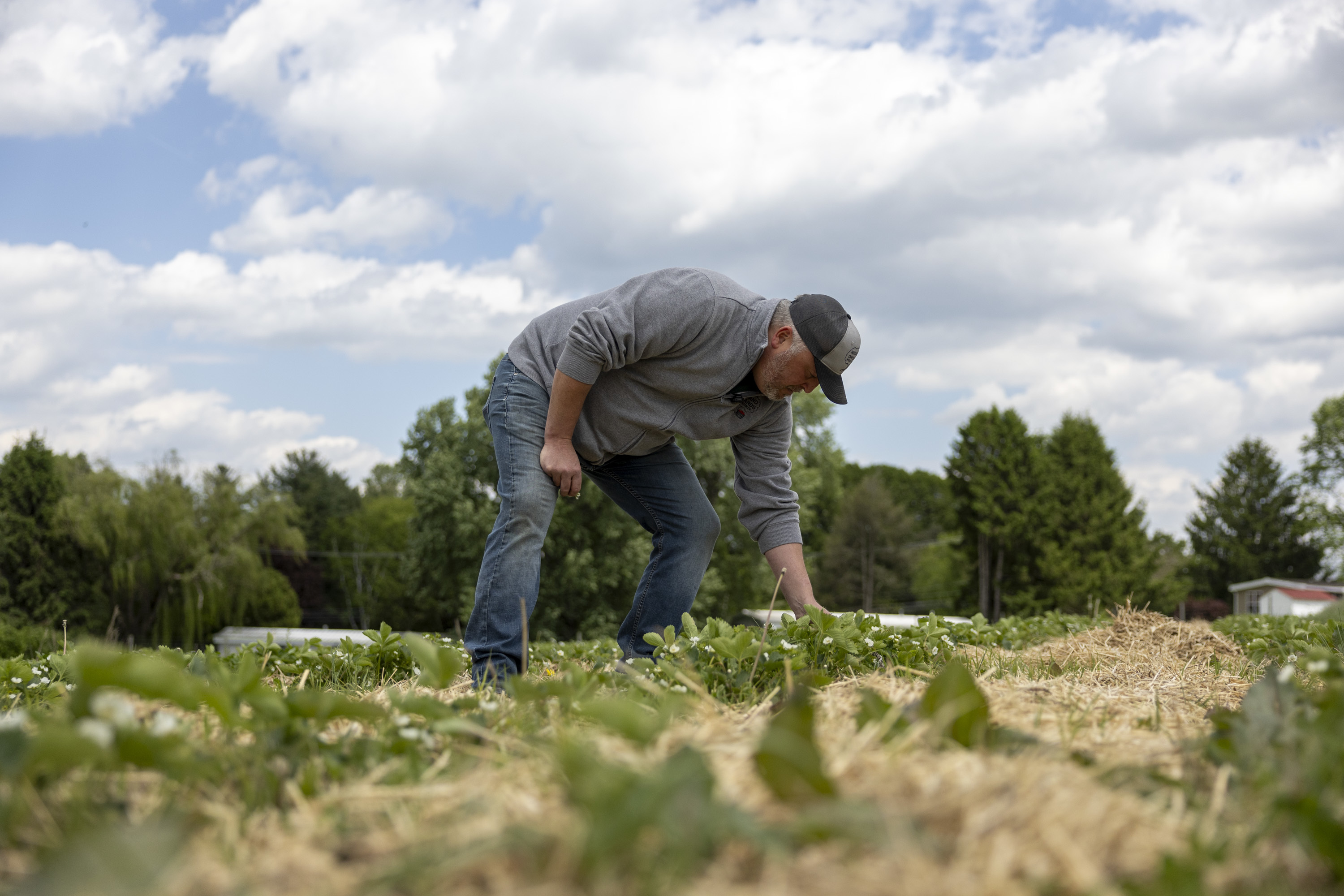 New Jersey growers get a federal disaster declaration for freeze ...