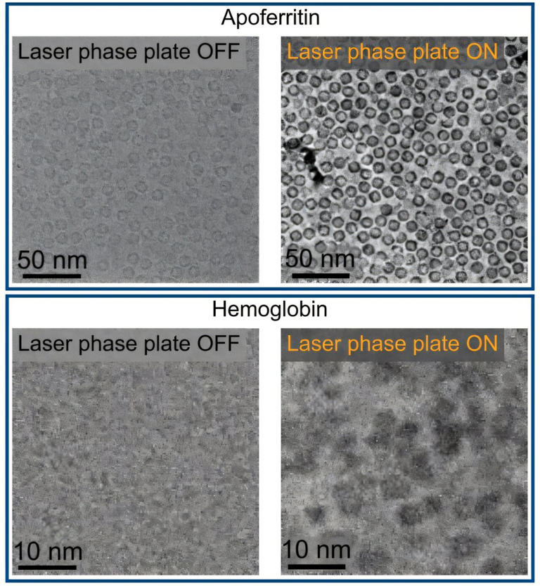 Physicists introduce phase contrast to electron microscopy, delivering ...