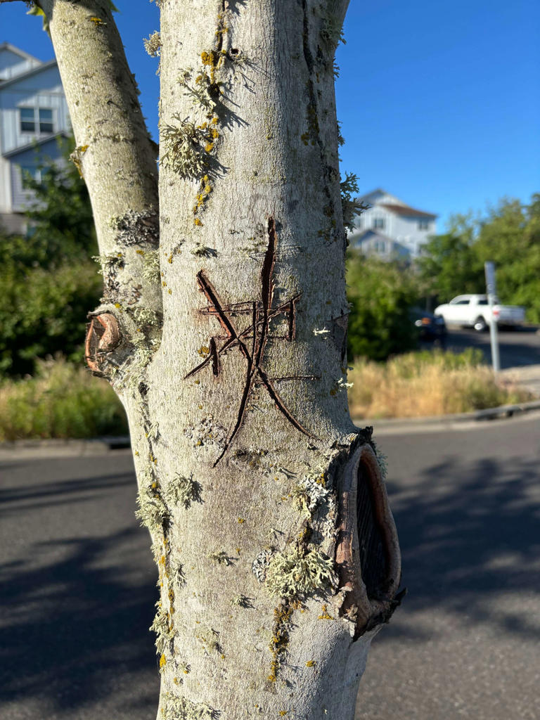 Beaverton neighbors battle hate with a handmade, only-in-Oregon response