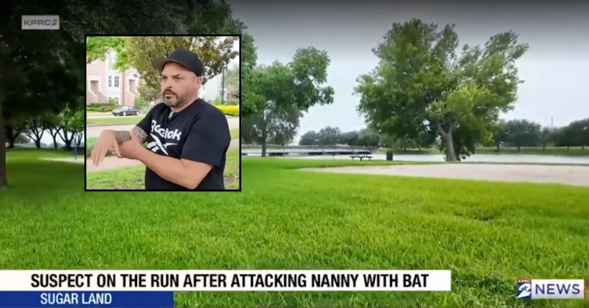 'She fought back': Nanny protects toddler during baseball bat attack ...