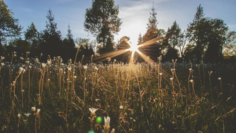 Litha: Simple rituals to celebrate the summer solstice