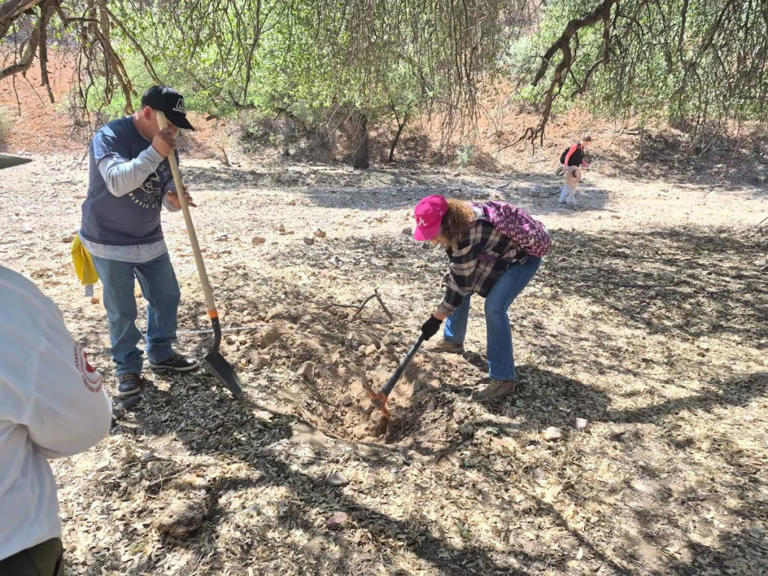 Anonymous tip claimed Nancy Guthrie 'grave' found in Mexico — sparking ...