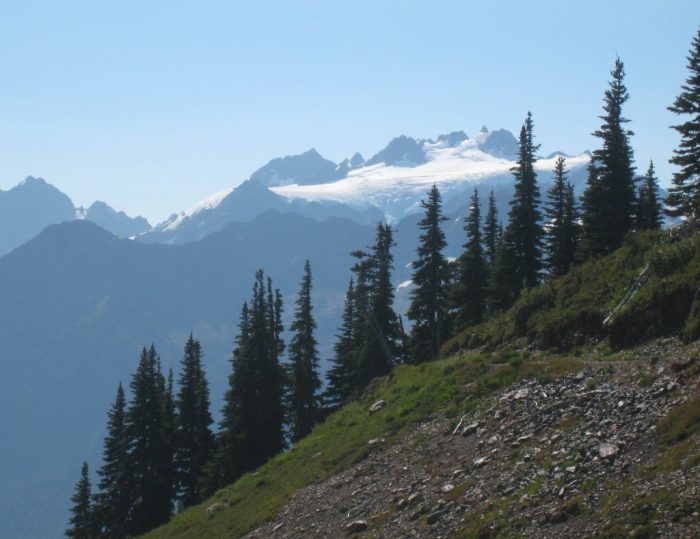 Human remains found in sleeping bag in Olympic National Park 26 years ...