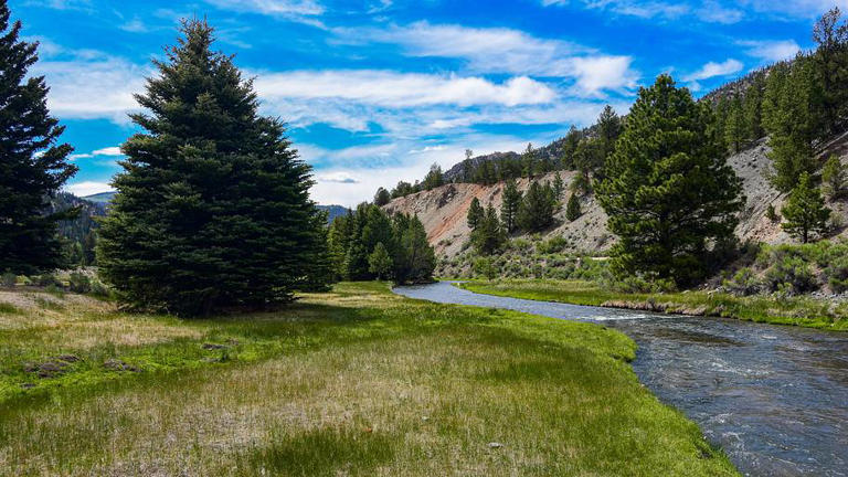 Where to fly fish for wild trout in New Mexico
