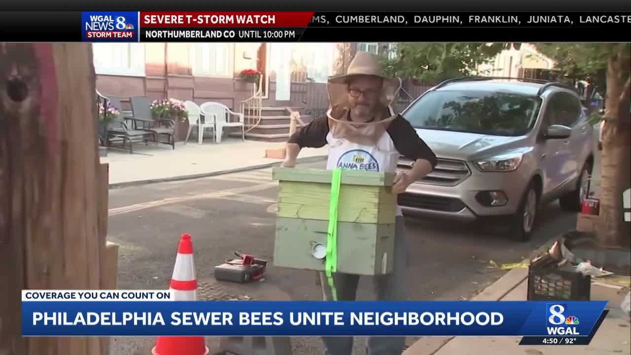 'Sewer honey' | Philadelphia neighborhood comes together over bees ...