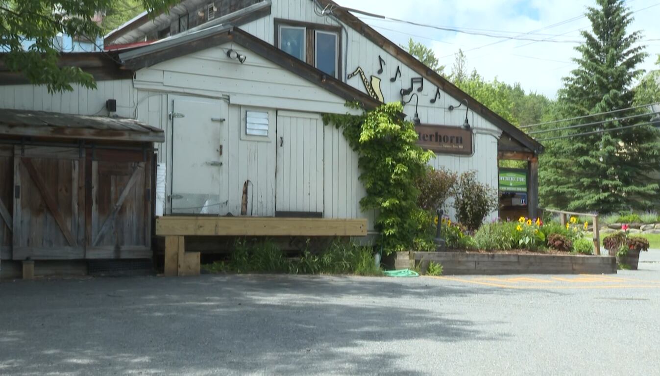 Bear shot and killed by Stowe police after repeated break-in attempts ...