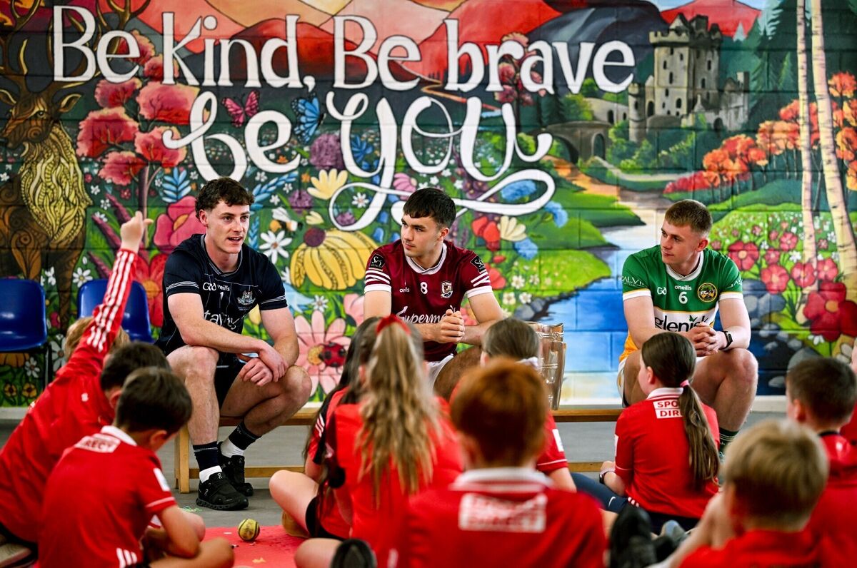 'Munster teams put on a pedestal compared to Leinster teams': Dublin ...