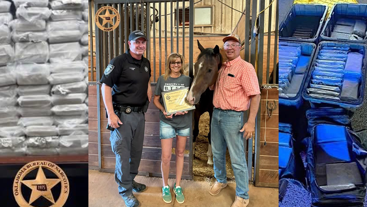 Rescue takes on horses seized in major Oklahoma cocaine bust