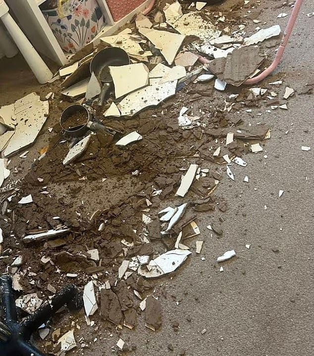 Girl, seven, is rushed to hospital after council flat ceiling collapses ...