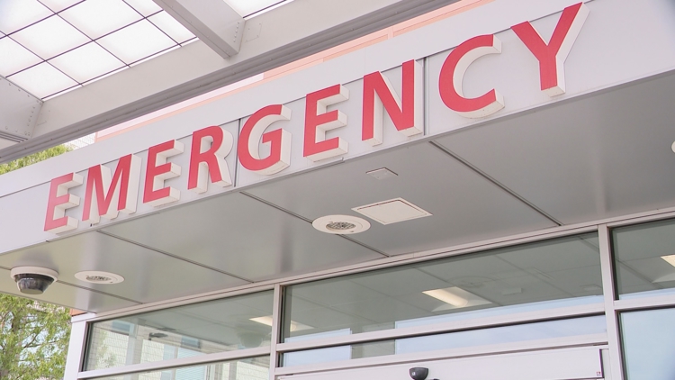 Maine emergency rooms brace for surge in tick-borne illnesses