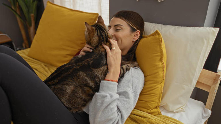 The hilarious and genius way this woman picked her new sofa fabric