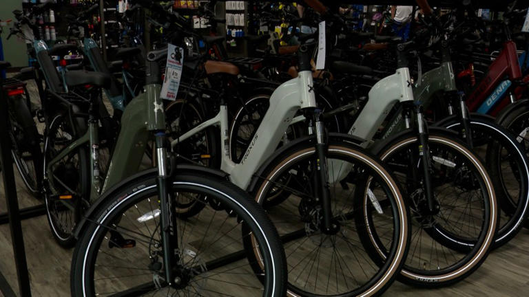 Experts emphasize importance of e-bike safety