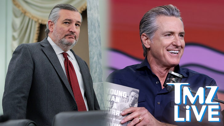 Gavin Newsom mocks 'good boy' Ted Cruz with AI photo of senator as dog ...