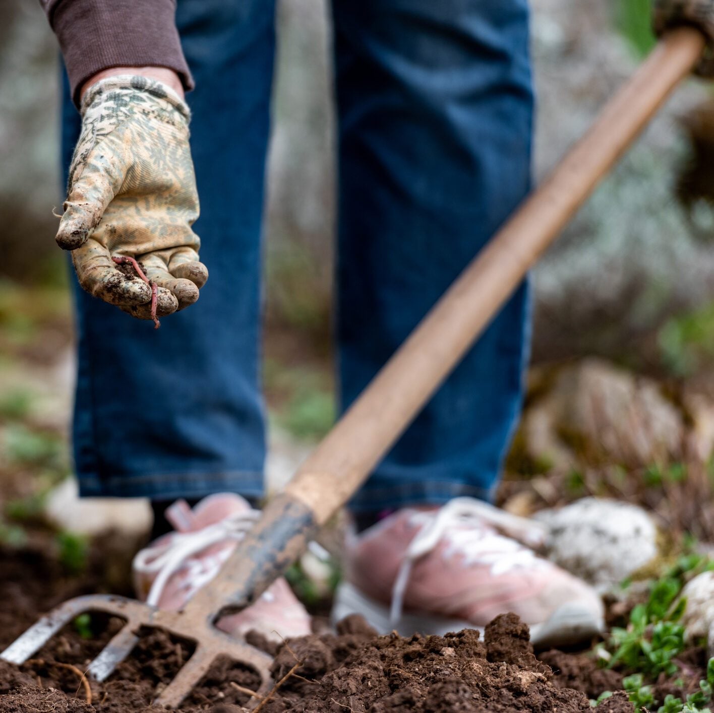 Jumping worms are invading gardens—here’s how to stop them