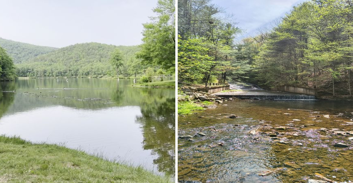 This spring-fed lake in Virginia is known for its remarkably clear water
